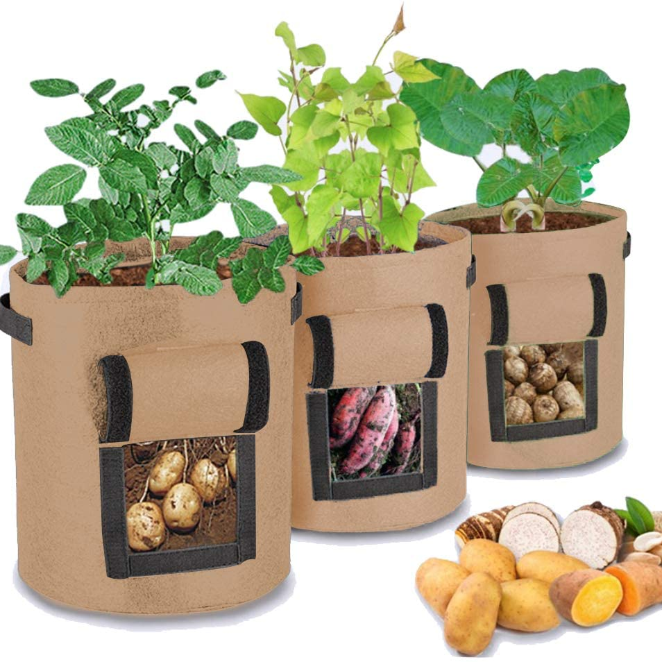 Root Veg Grow Bags – Trenz